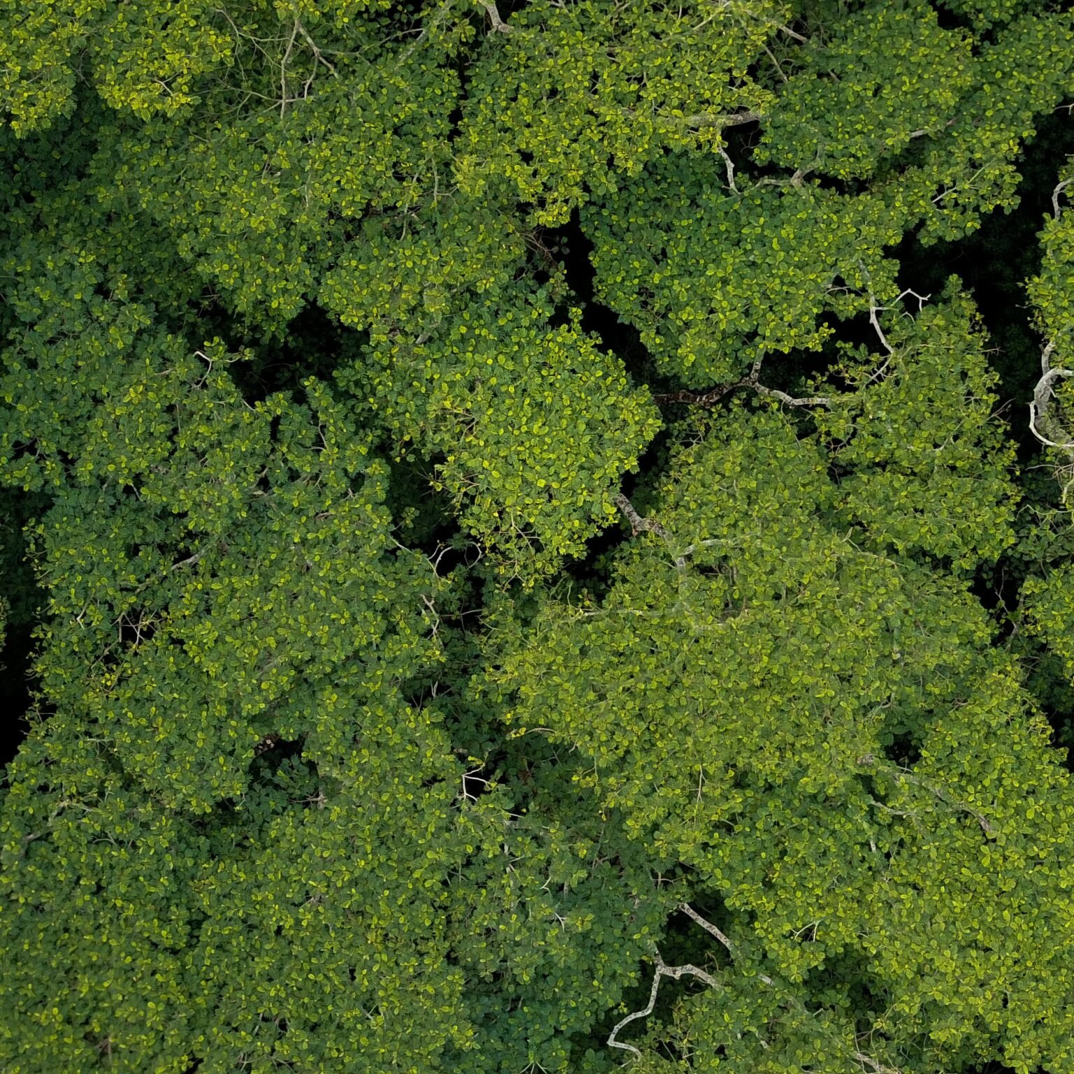 CrossBoundary Group: Investment Advisory and Asset Management