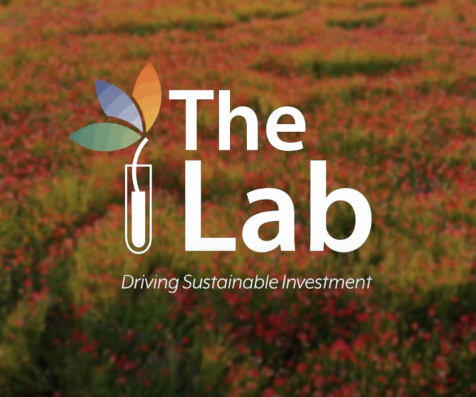 The Fund for Nature selected for the 2022 Global Innovation Lab for ...