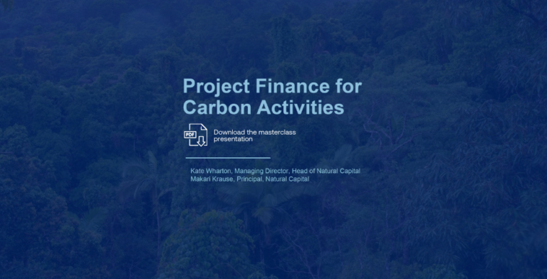 Unlocking Carbon Finance: A Project Finance Masterclass