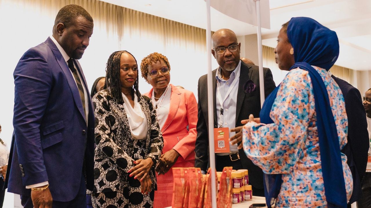 BRIDGE-in Agriculture Initiative Targets Young Women to Lead Ghana's ...